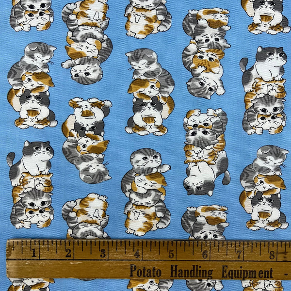 Cat Stacks on Cotton Oxford – gather here online